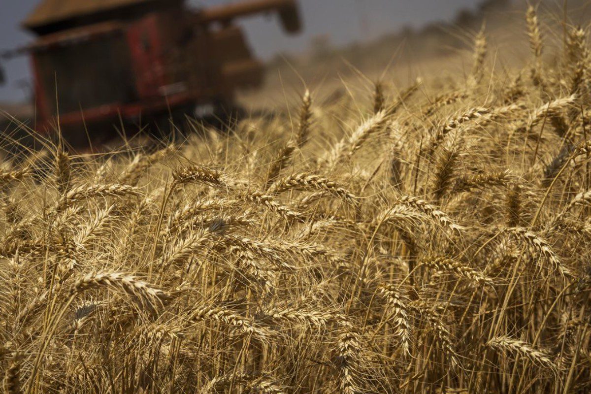 Coamo investe R$ 3 bi em porto em Itapoá, SC | InvestNews