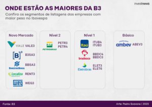 Segmentos especiais de listagem da B3: quais são e como funcionam?