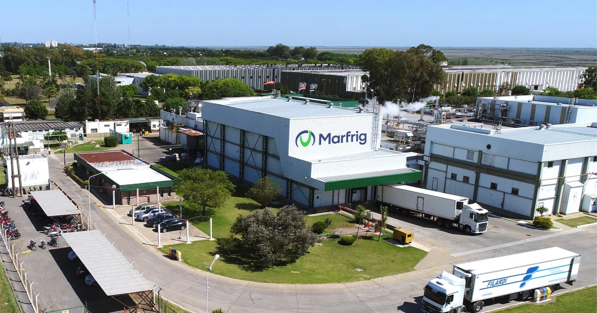 Marfrig diz que tarifa de 50% dos EUA terá impacto marginal nas ...